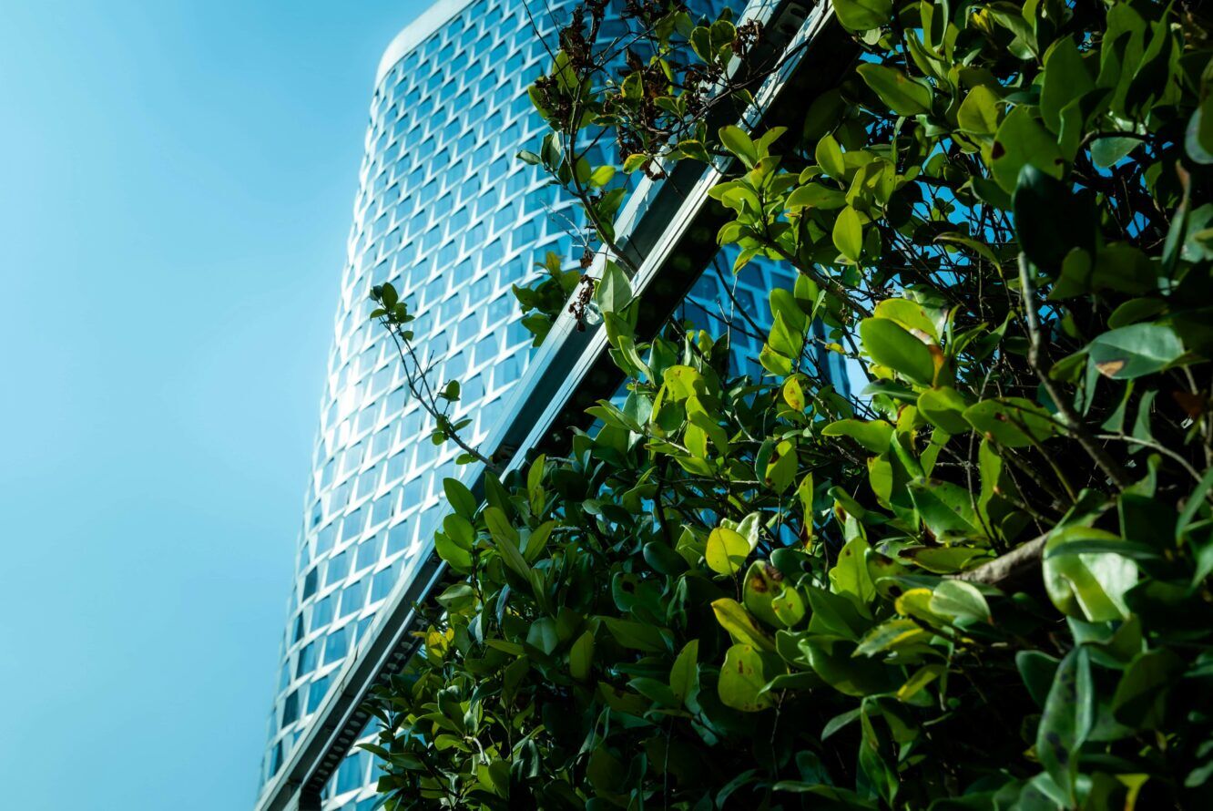 How to create an RFP to measure financed emissions - Deedster